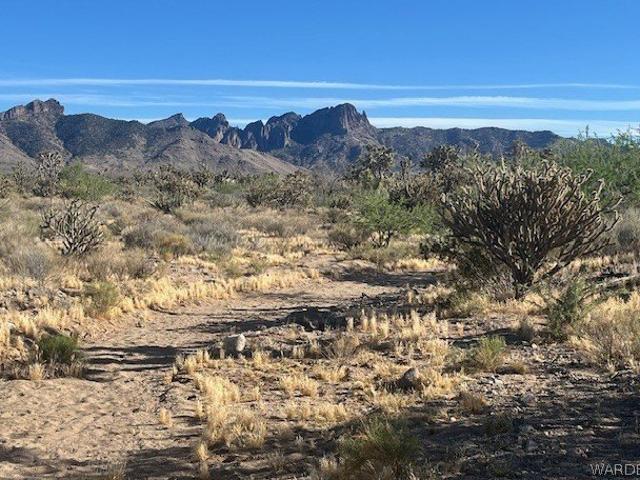 20th St, Dolan Springs, AZ 86441