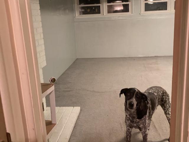 20x20ft room in HOUSE studio like 8/15 $1375