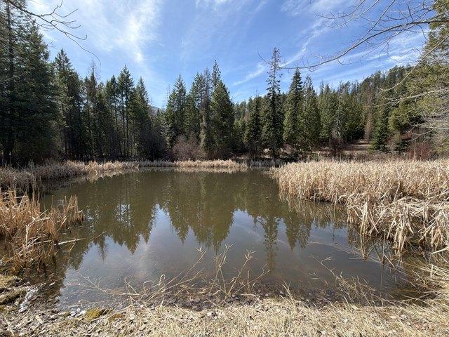20XX Dunn Mountain Way, Addy, WA 99101