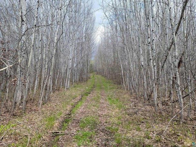 20X Sled Dog Trl, Hovland, MN 55606