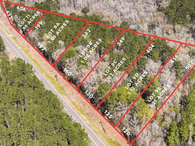 21048 LA Highway 42, Livingston, LA 70754