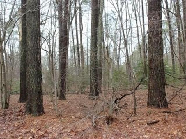 2104 Buccaneer Blvd, Greenbackville, VA 23356