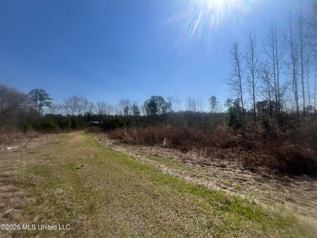 2104 Highway 51, Bogue Chitto, MS 39629 | MLS #4140