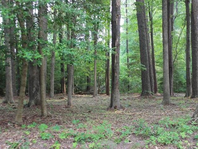 2105 Buccaneer Blvd Lot 2105, Greenbackville, VA 23356
