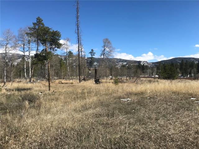 21070 Stallion Way, Oak Creek, CO 80467 | MLS #S1068