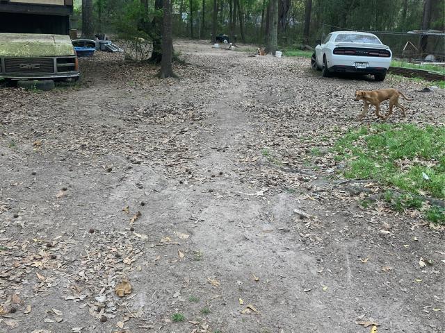 21072 Patricia Ln, New Caney, TX 77357 | MLS #13114 | Compass