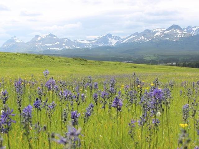 21001 US Highway 2, East Glacier Park, MT 59434
