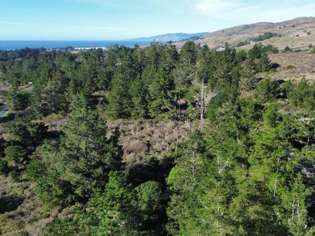 2100 Highway 1, Bodega Bay, CA 94923 | MLS #326000