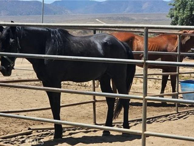 2100 State St, Hemet, CA 92543