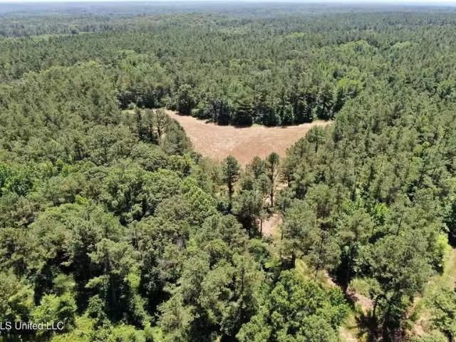 2100 Wilkins Chapel Road, Holly Springs, MS 38635 647953670