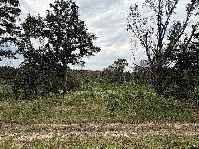 21016 Highway 31, Tyler, TX 75705