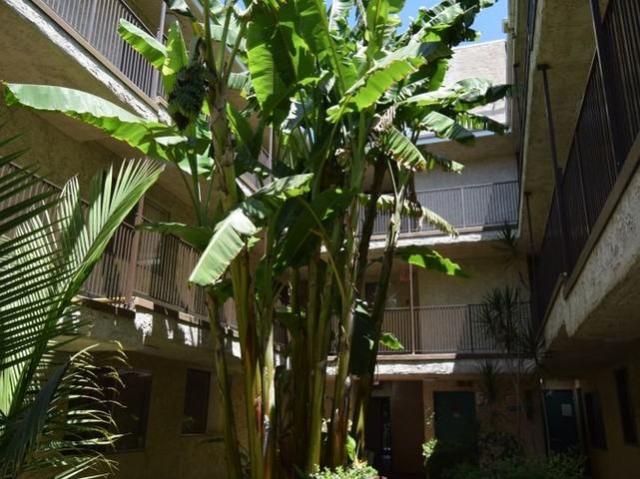 21018 2 Bedroom Apartment for Rent at 21018 Gresham St, Los Angeles, CA 91304 Canoga Park