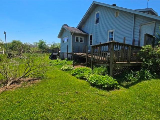 2101 Mushroom Road