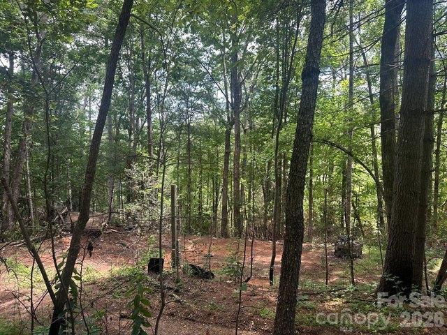 210/240 Gobbler Cir Unit 19/21, Horse Shoe, NC 28742
