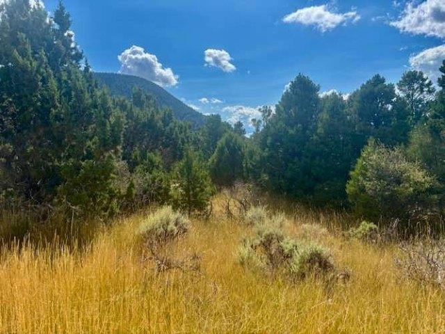 2102 S High Cedar Vw, Cedar City, UT 84720