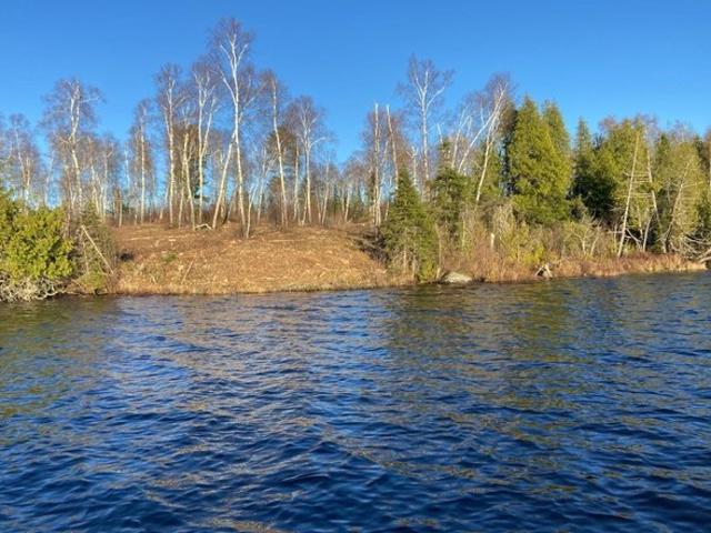 2102 1 N Bear Lake Rd Address Tbd Will Be S Bear Lake Rd Lot Future, Brimson, MN 55602