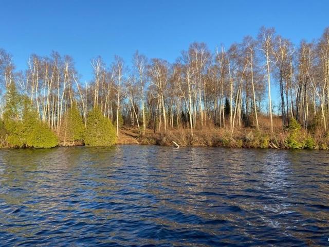 2102 9 N Bear Lake Rd Address Tbd Will Be S Bear Lake Rd Lot Future, Brimson, MN 55602