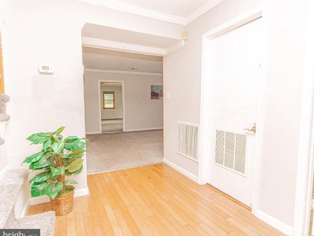 2103 Willowtree Lane