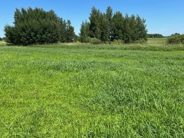 210th St, Glenwood, MN 56334