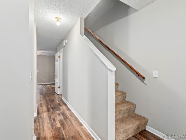 210 Candlebrook Drive