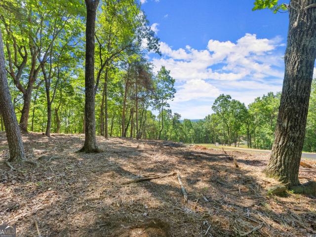 210 Chimney Oaks Trail