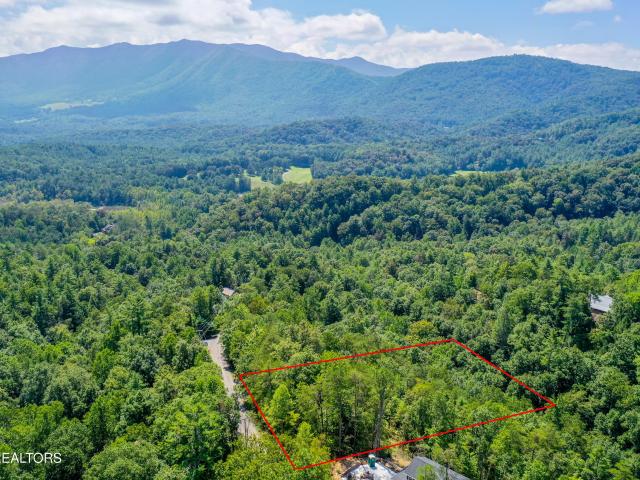 210 Cutter Gap Rd