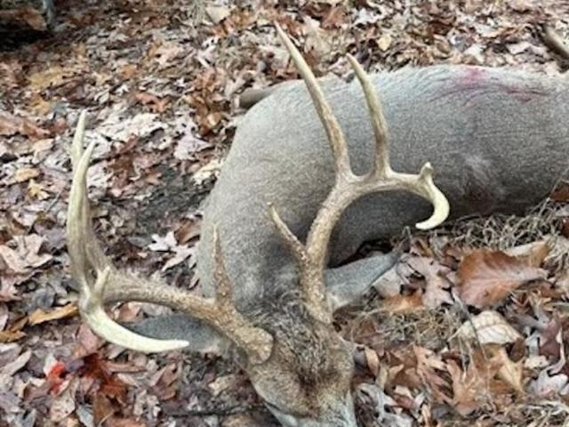 210 Acres County Road 604