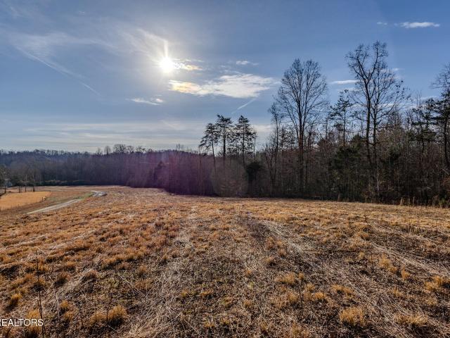 210 Dogtown Rd