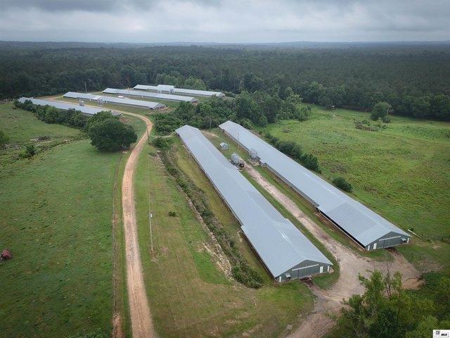 210 Donel Rd, Saline, LA 71070