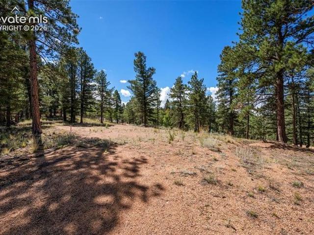210 Donzi Trl, Florissant, CO 80816