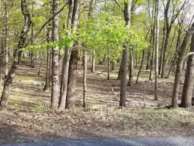 210 HUMMINGBIRD TRL, BUSHKILL, PA 18324 Vacant Land For Sale.