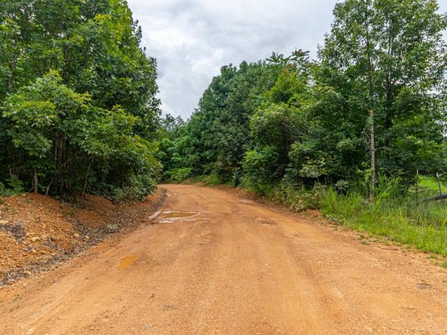210 Loveman Lane