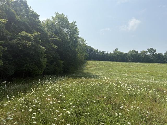 210 W Wagner Road
