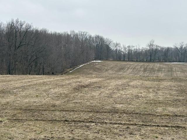 210 W Wagner Rd, Buchanan, MI 49107