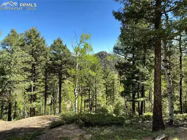 210 WATERFALL LOOP, MANITOU SPRINGS, CO 80829 Vacant Land For.