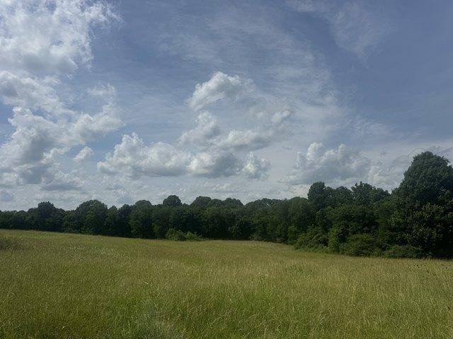 210 Wheel Rd, Shelbyville, TN 37160