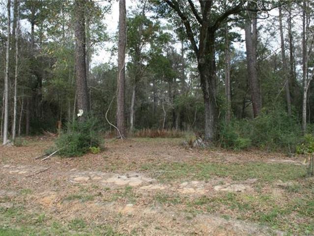 21141 Little River Bend, Covington, LA 70433 | MLS #2549 | Compass