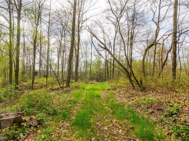 2115 Goss Fork Rd 2