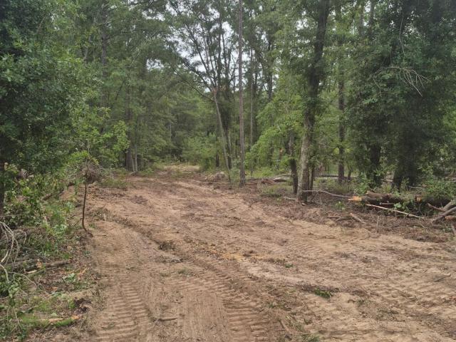 2115 Lavender Trail