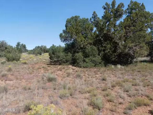 2115 S Kaibab Rd #108, Williams, AZ 86046 MLS 198343
