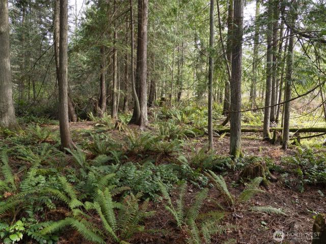 2116 S 7th Ave, Sequim, WA 98382 | MLS #2502