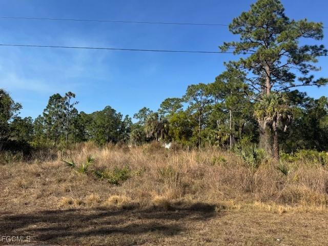 2117 Moore Ave, Alva, FL 33920 | MLS #2026003