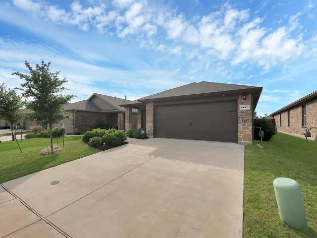 2117 Ocelot Street