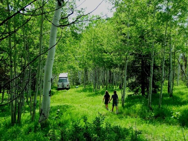 21195 Cheyenne Trail, Oak Creek, CO 80467 | MLS #S1066