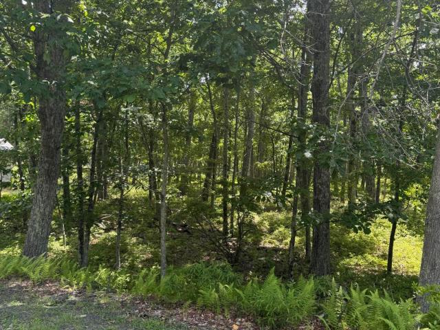 2119 Mallard Court