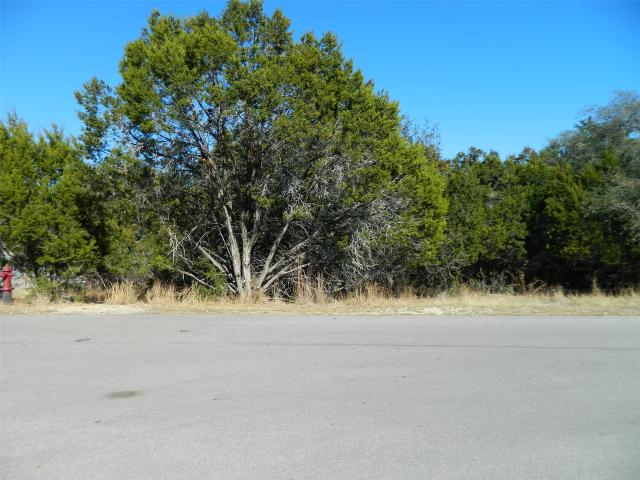 21108 Santa Rosa Ave, Lago Vista, TX 78645 | MLS #2476