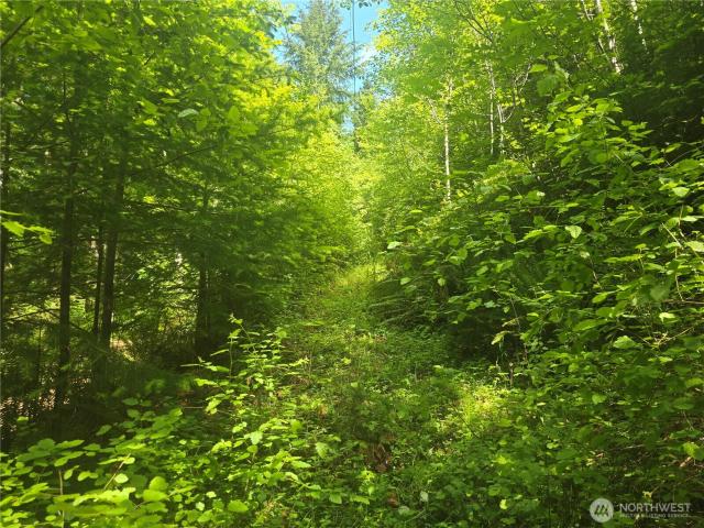 2110 Summit Lake Shore Road NW