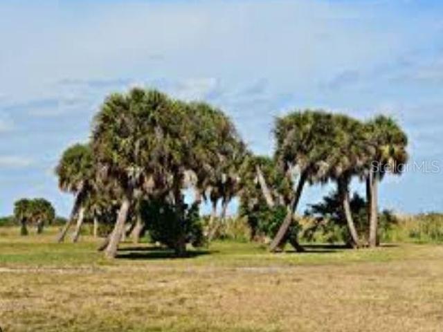 21117 NW 276th St, Okeechobee, FL 34972