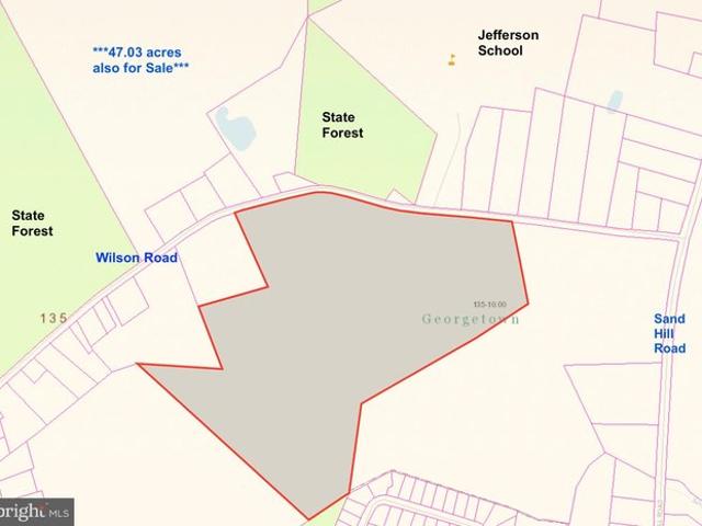 21114 Wilson Rd, Georgetown, DE 19947
