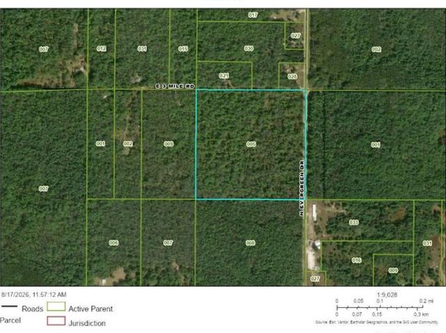 2111 N Evergreen Dr, White Cloud, MI 49349